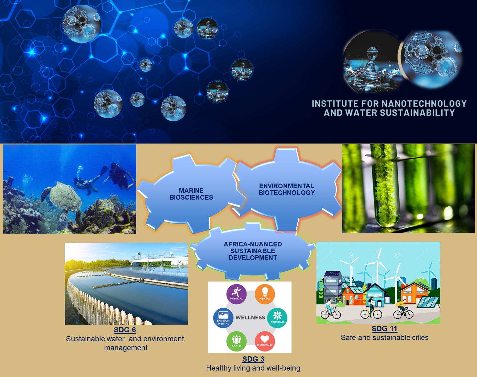 Research Focus Areas